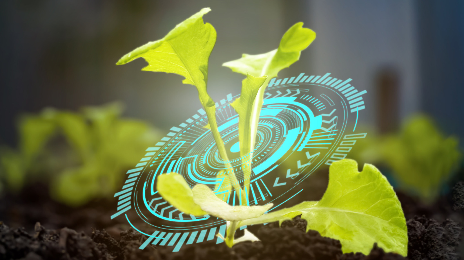 12 Little-Known Smart Garden Products Worth Trying For Yourself