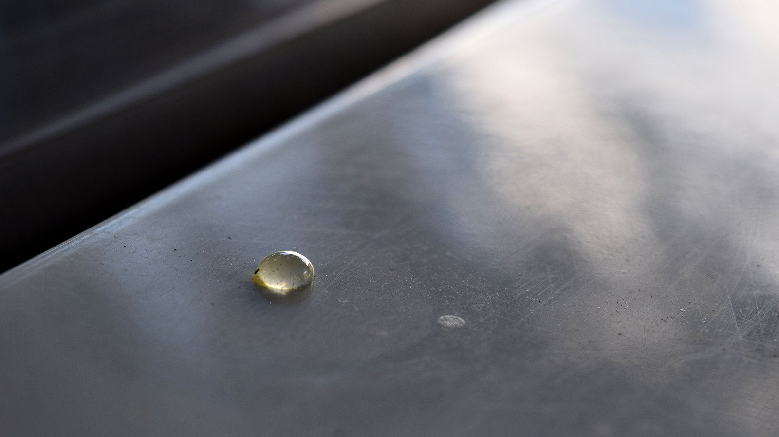 3 Ways To Remove Tree Sap From Your Car (Without Damaging The Paint)