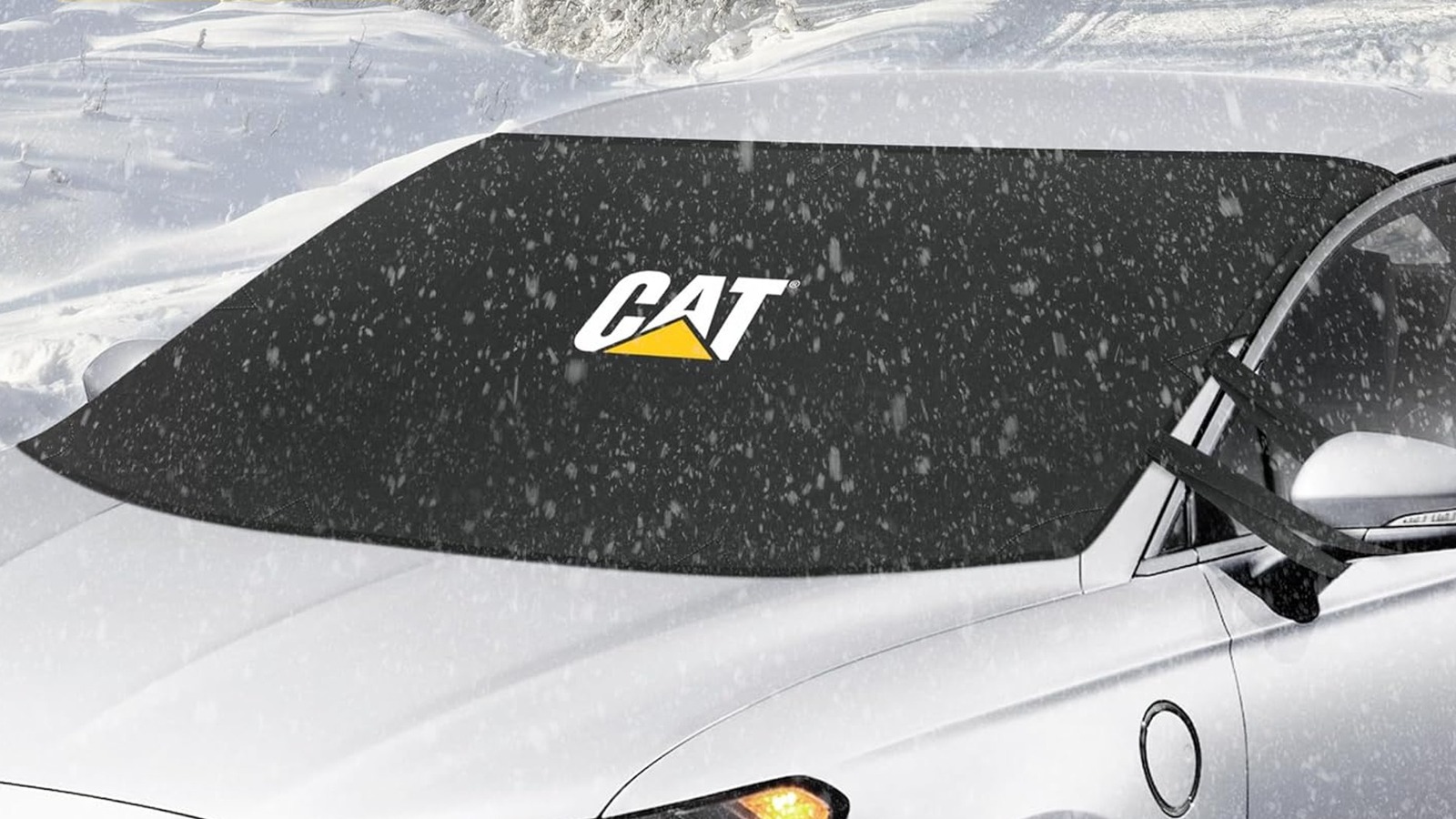 4 Highly-Rated Cat Accessories For Your Car