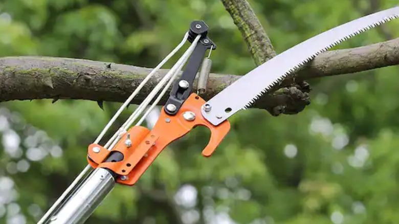 4 Home Depot Yard Tools That Outshine Milwaukee's In Price And Quality