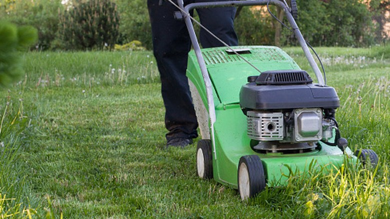 5 Common Problems With Robotic Lawn Mowers