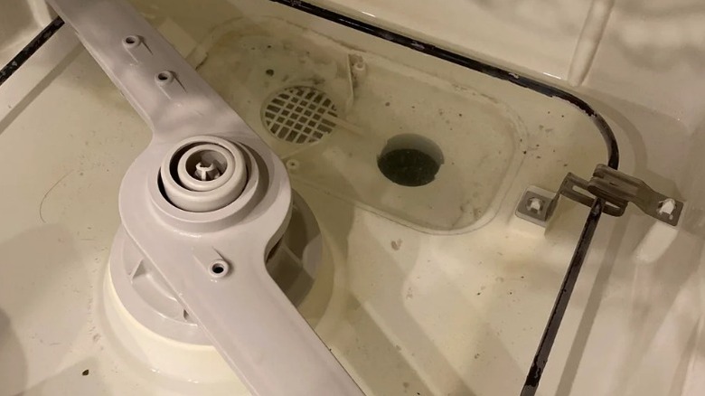 5 Common Problems With Whirlpool Dishwashers