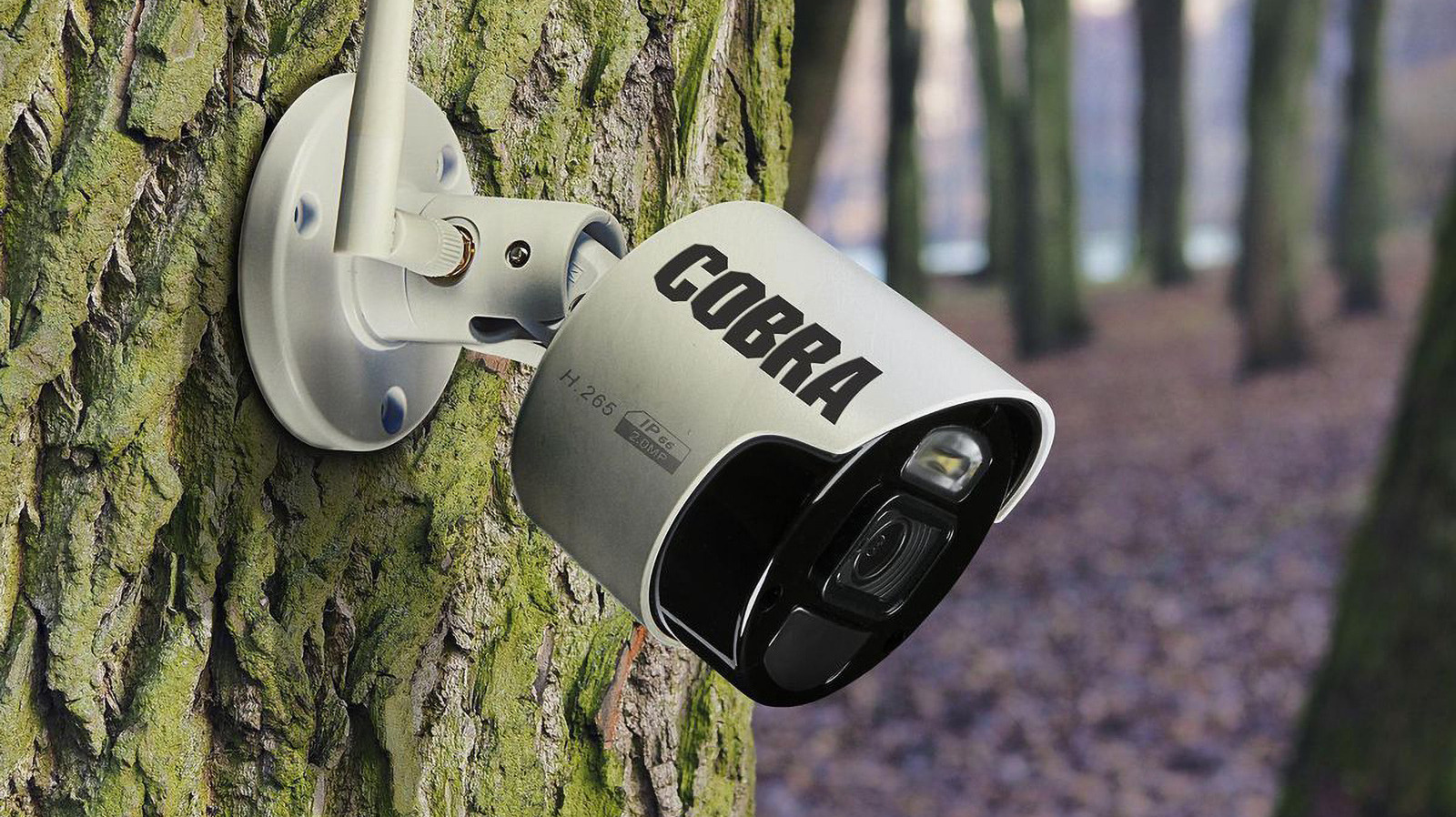 5 Most Affordable Security Cameras You Can Get At Harbor Freight