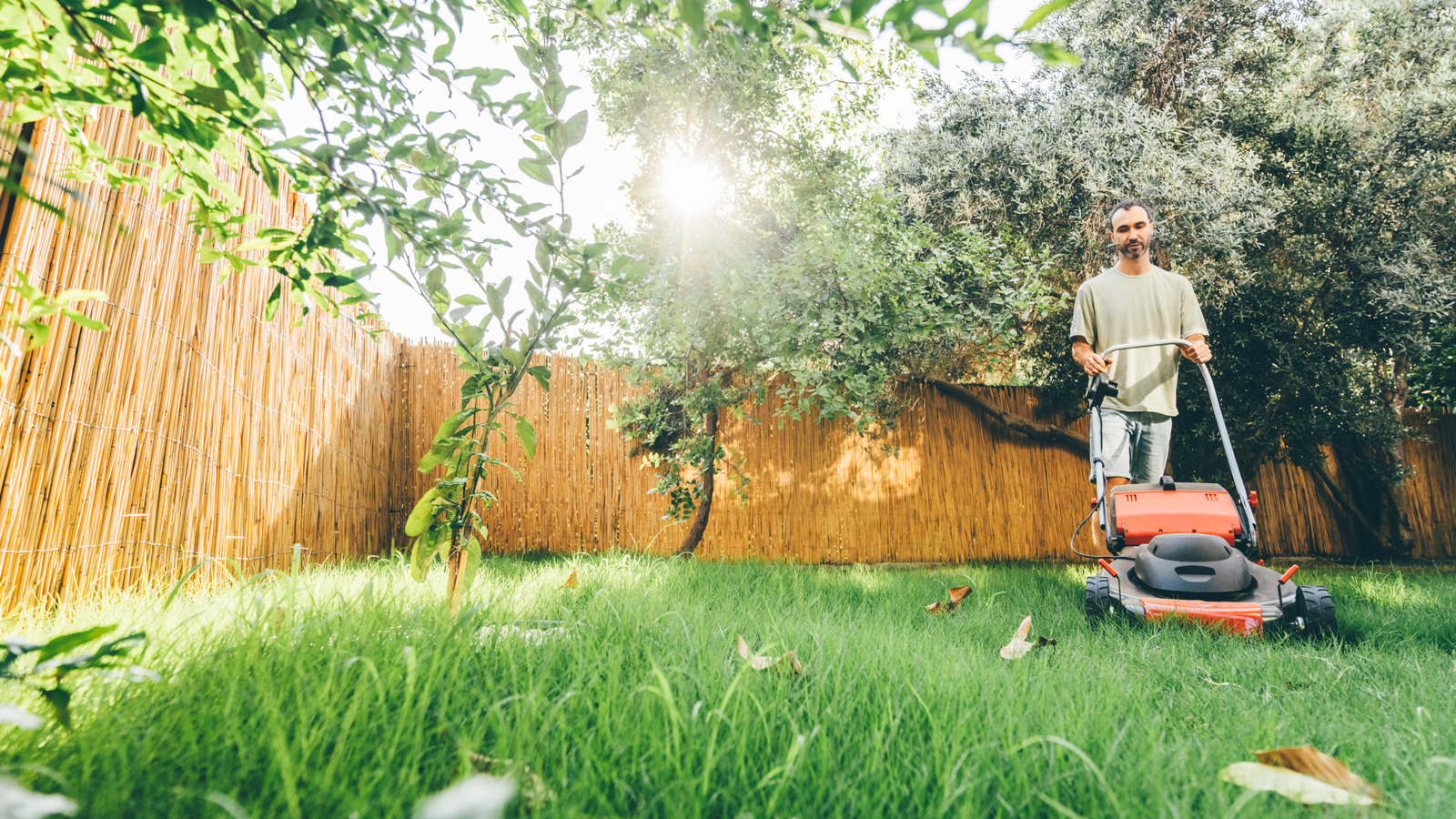 5 Must-Have Tools For Maintaining Your Lawn Mower's Blades