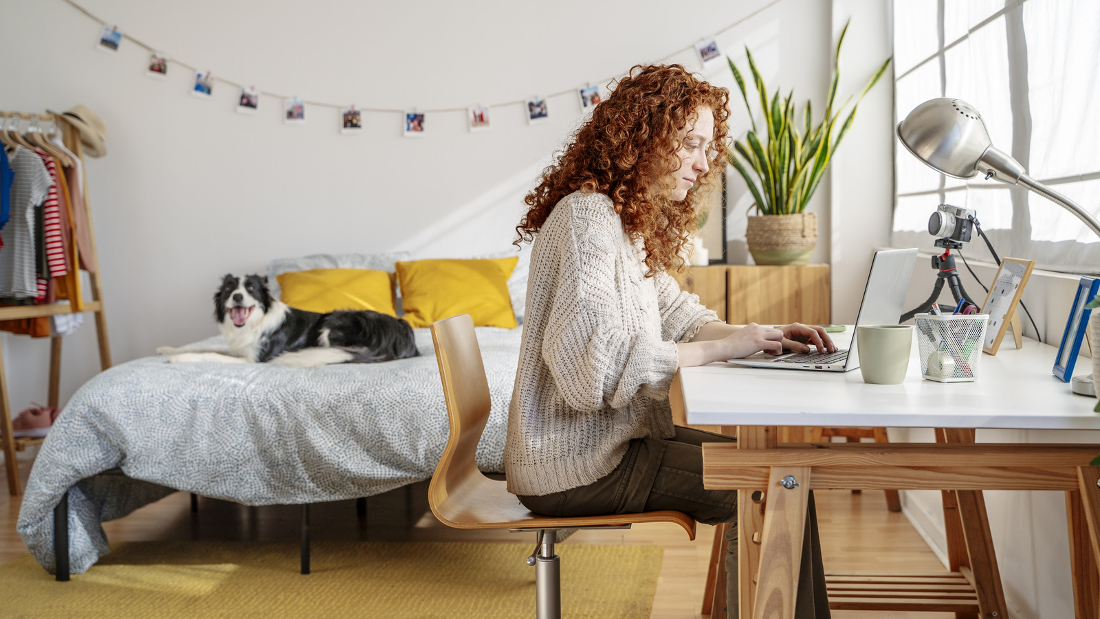 6 Of The Best Accessories To Make Your Work From Home Office More ...