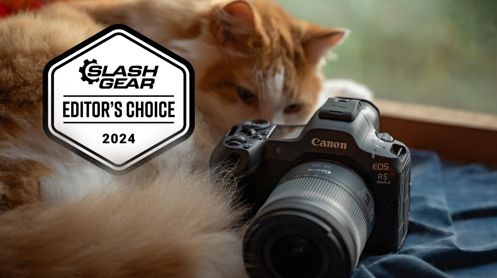 Canon Eos R5 Mark II Review: A Major Upgrade With Cutting-Edge Autofocus