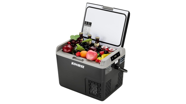 6 Electric Coolers For Your Car To Help Keep Your Food And Drinks Cold