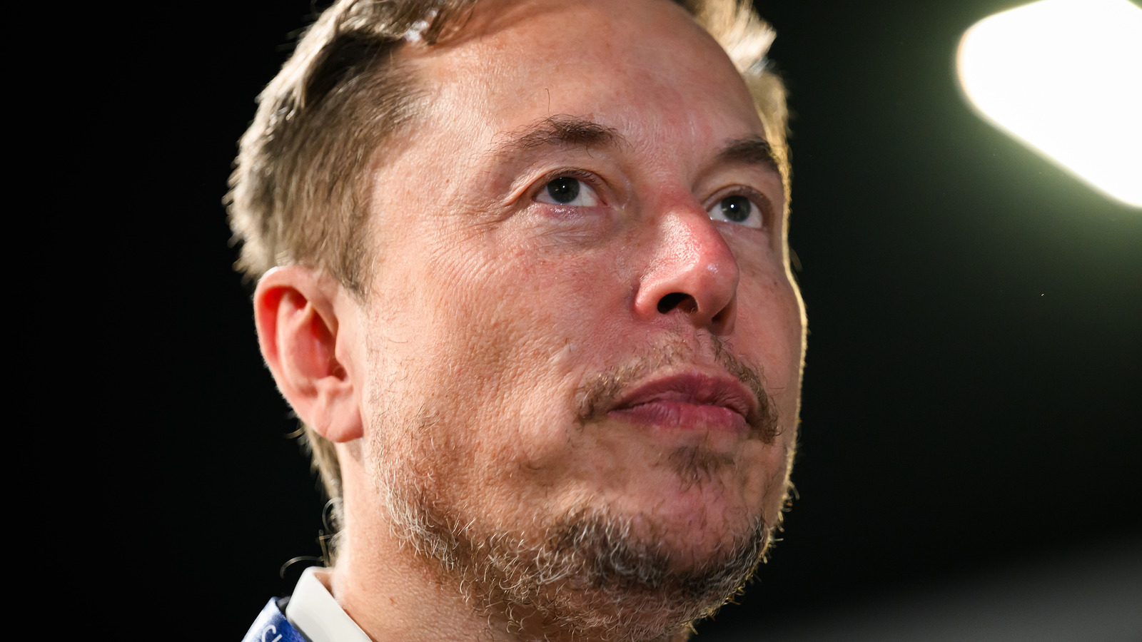 Elon Musk Says Some X Accounts Will Get Premium Features For Free