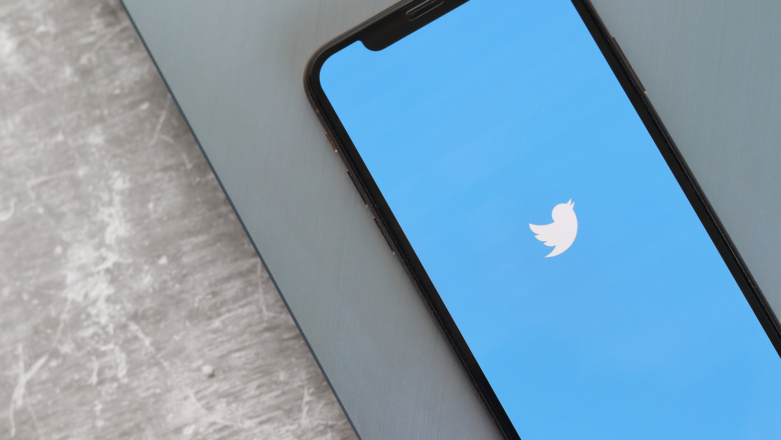 Elon Musk's Latest Twitter Poll Puts Advertisers On The Spot Elon Musk's Latest Twitter Poll Puts Advertisers On The Spot
