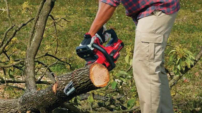 Every Major Chainsaw Brand Ranked Worst To Best