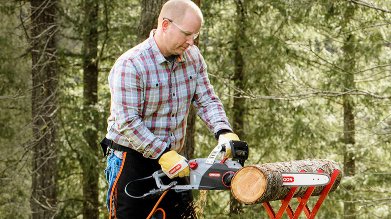 Every Major Chainsaw Brand Ranked Worst To Best