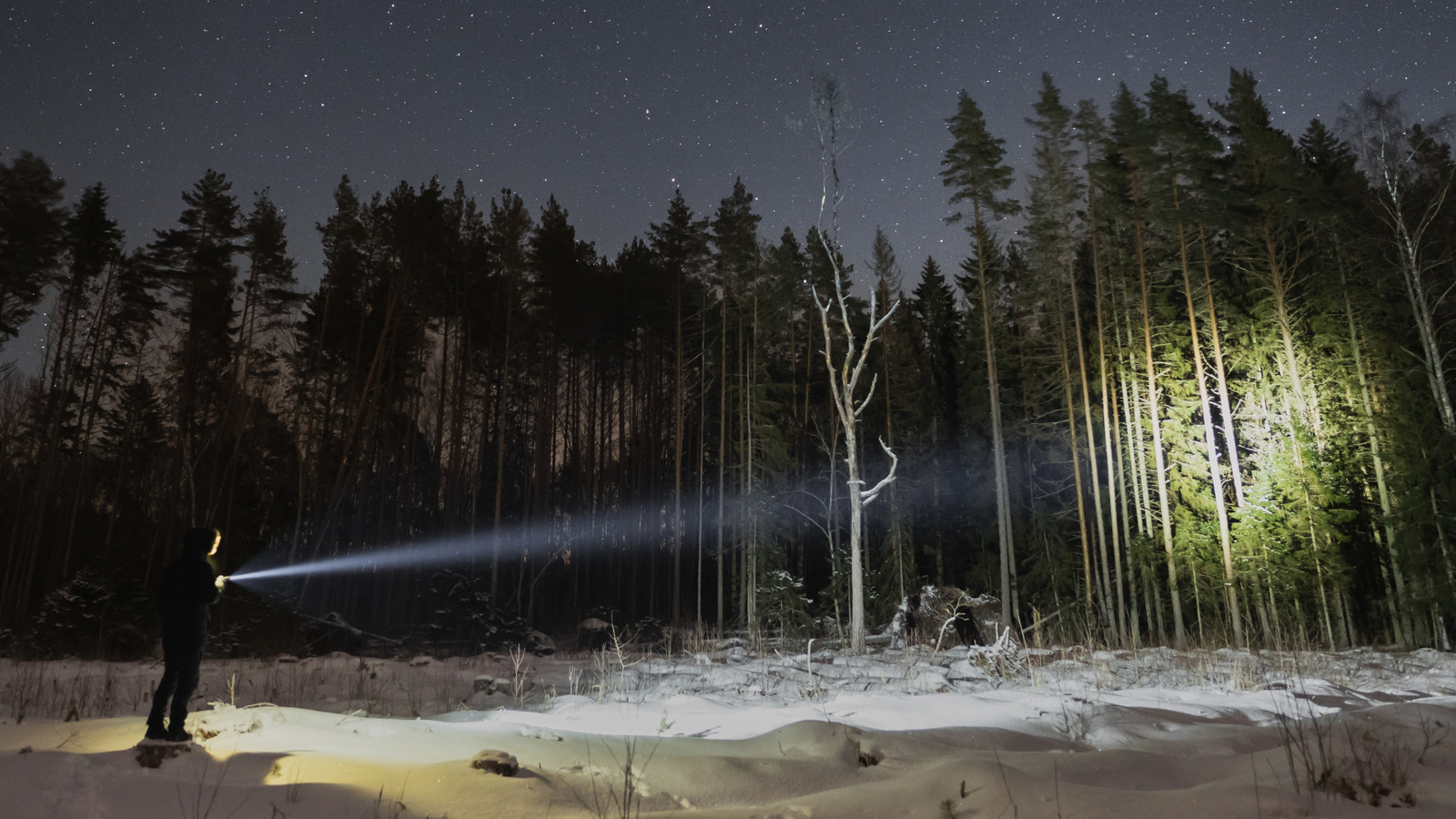 Everyday Vs. Tactical Or Military Flashlights: Is There Really A ...