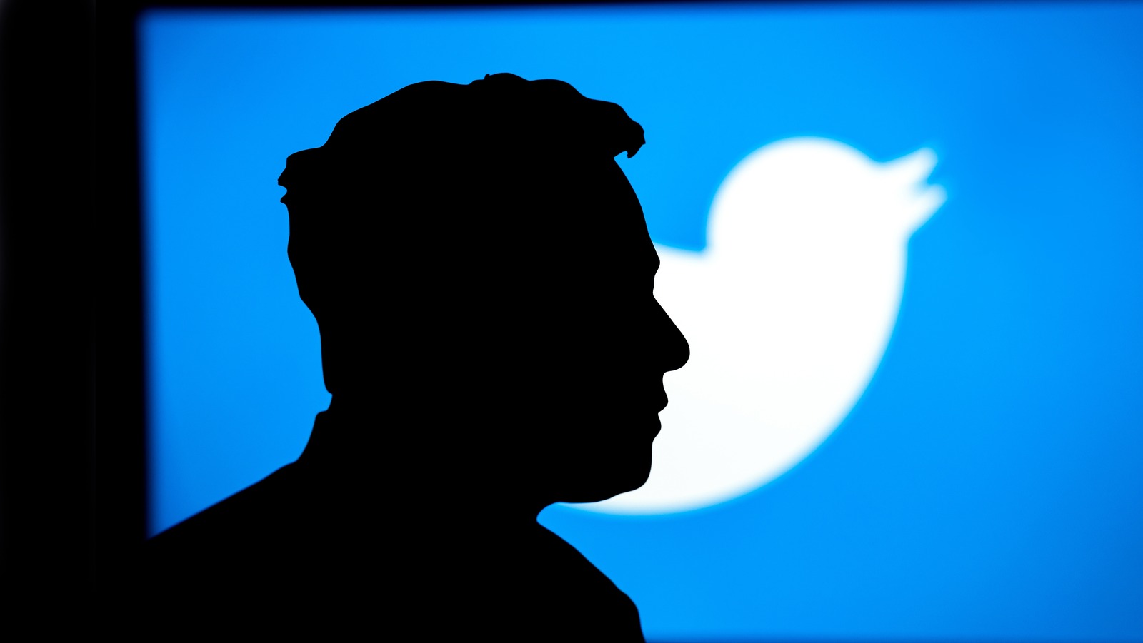 Everything We Know About Elon Musk's Upcoming X App