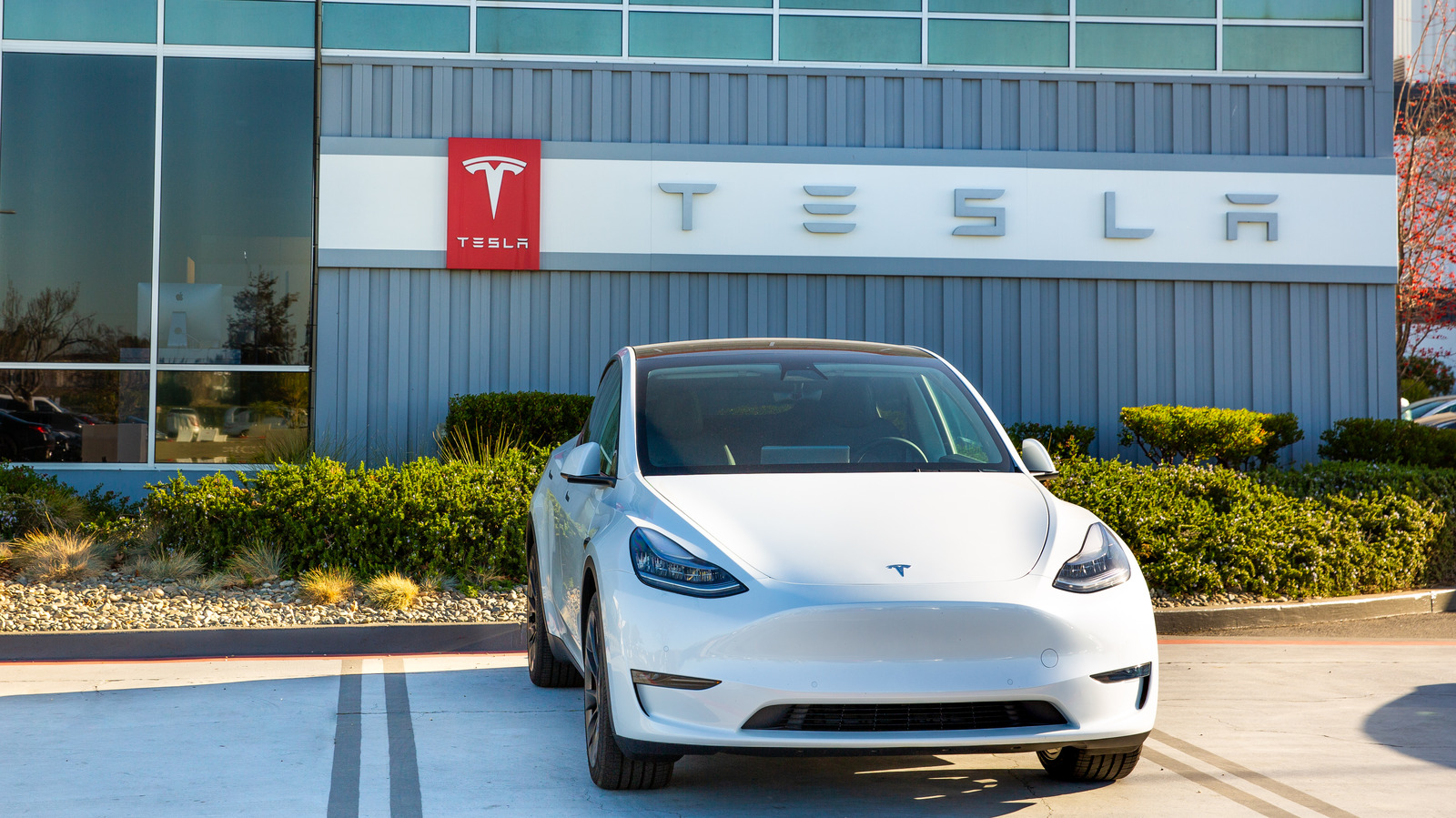 Everything You Need To Know About Tesla Insurance (And How It Compares ...