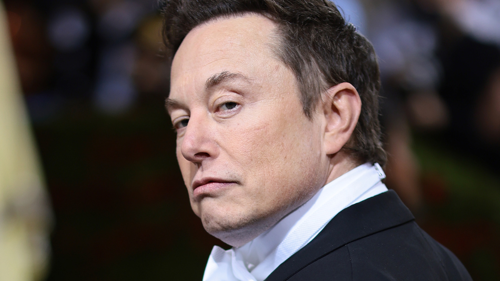 Fired Twitter Execs Face A Long, Ugly Battle With Elon Musk Warns Expert - Exclusive