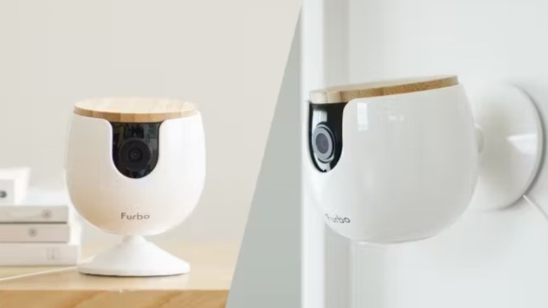 9 Fun Home Gadgets Under $50