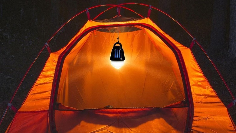 4 Harbor Freight Finds To Help Manage Unwanted Insects & Critters