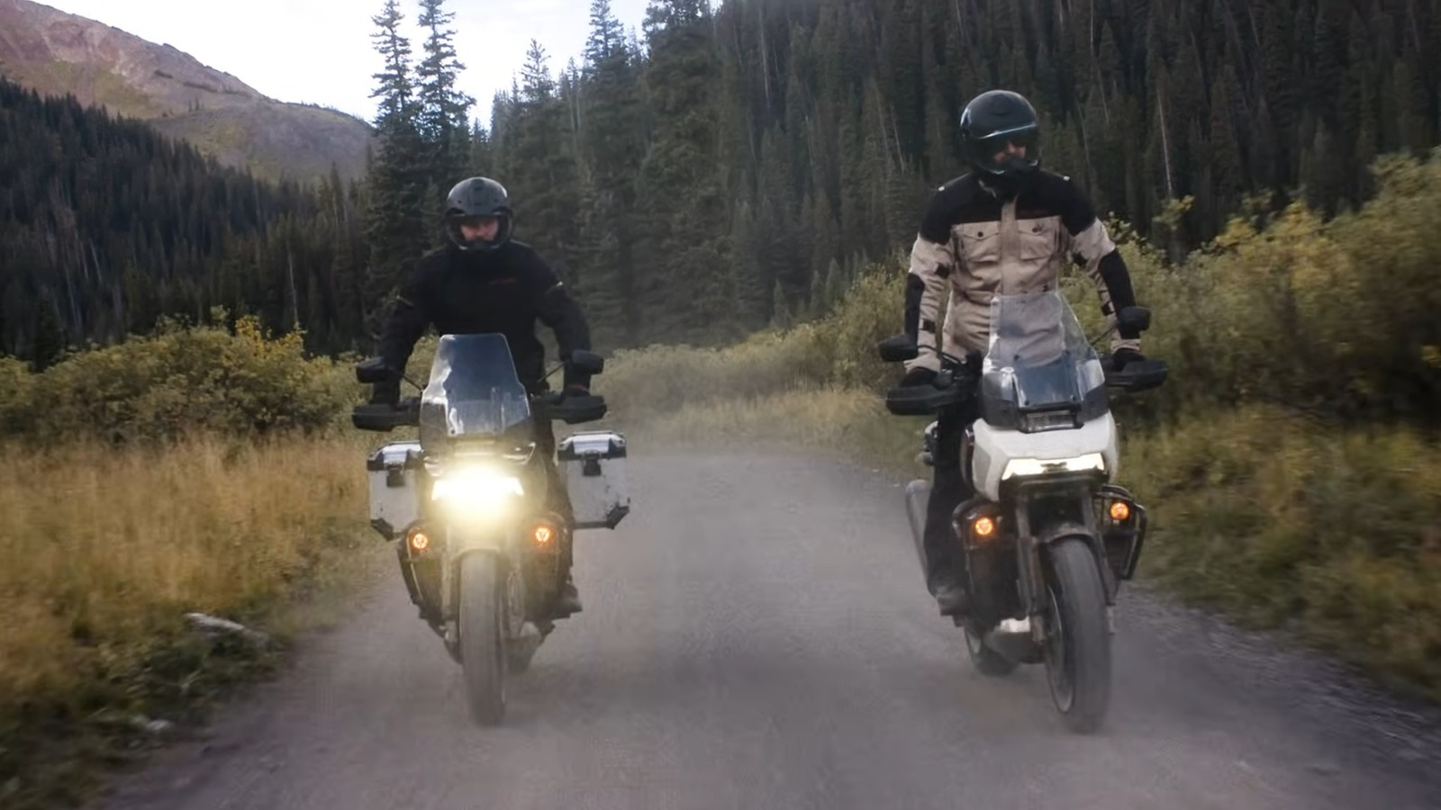 These Two Harley-Davidson Motorcycles Will Go Where Other Models Won't