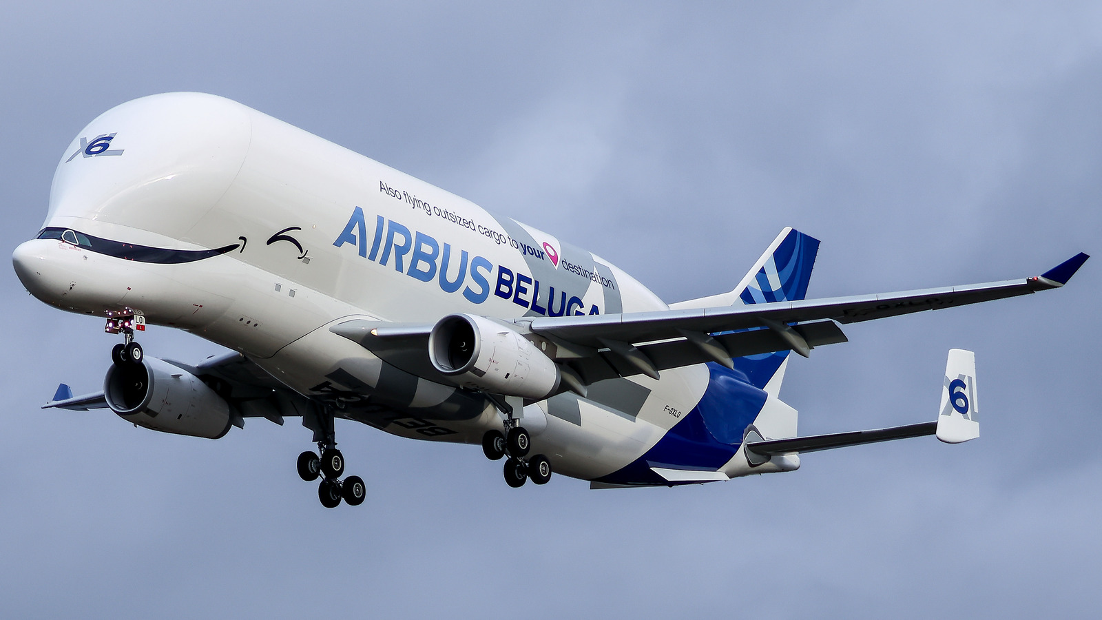 How Big Is The BelugaXL Freighter Jet & What's It Used For?