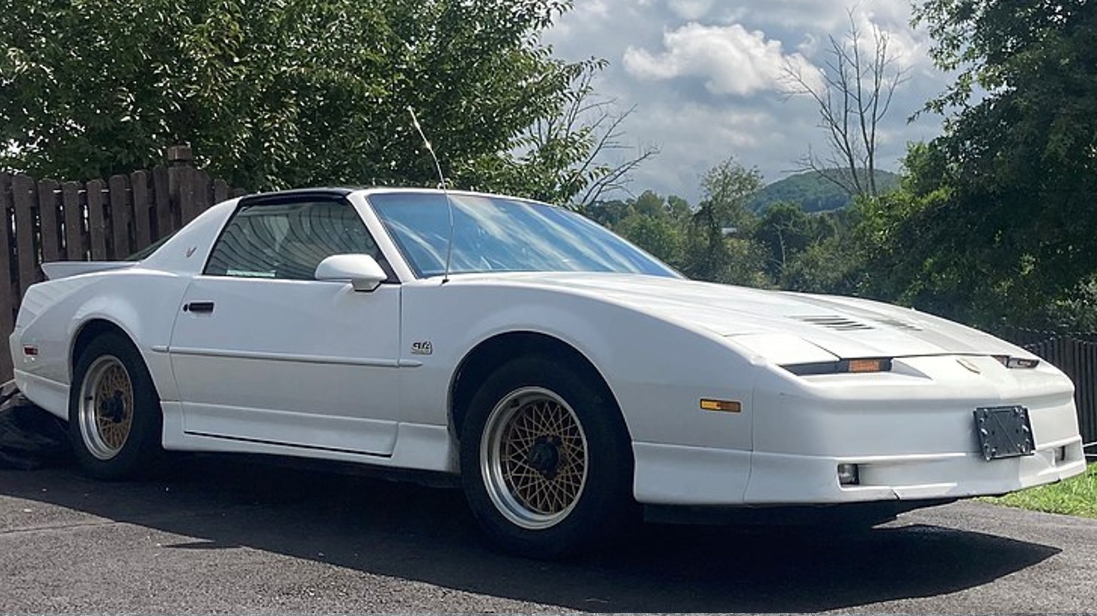 How Much Horsepower Does A 1988 Pontiac Firebird Have & What's One ...