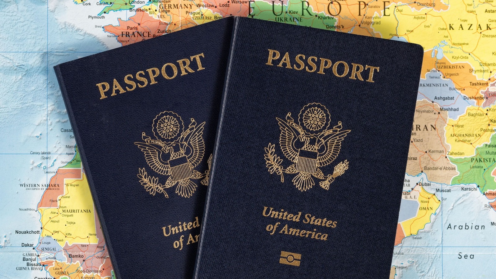 How To Take Your Passport Photo With Your iPhone Or Android: A Complete ...