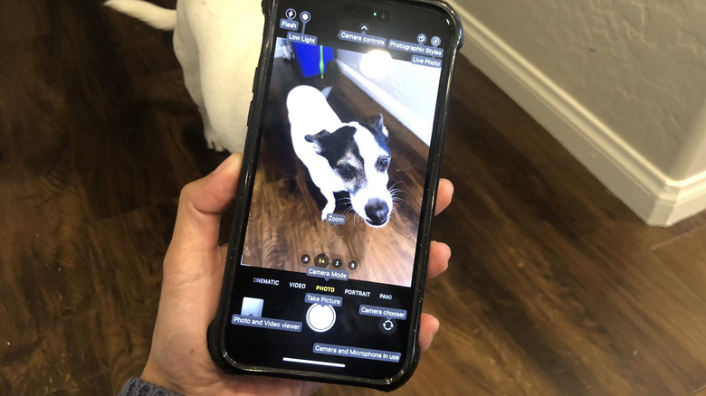 How To Turn Your iPhone Into A Hands-Free Camera