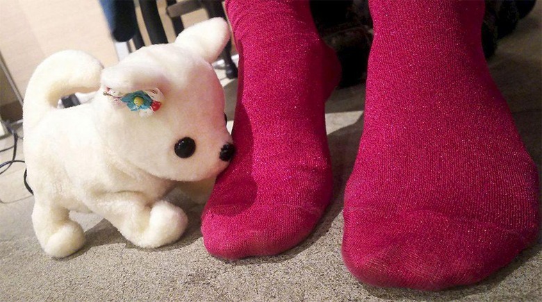 Japanese Invent Robot Dog To Sniff Out Stinky Feet - SlashGear Japanese Invent Robot Dog To Sniff Out Stinky Feet - SlashGear