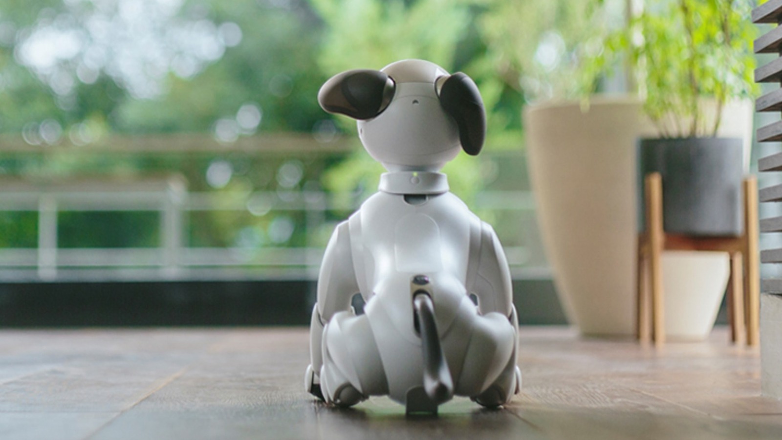 Sony Creates An Aibo 'Foster Program' To Refurbish And Re-Home Aging ...