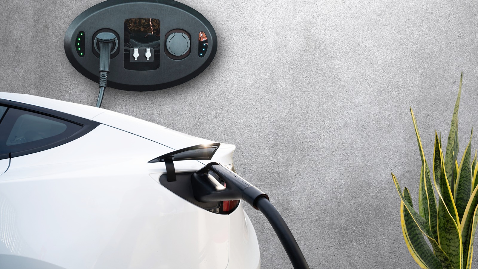 Tesla Reveals Unlimited Overnight Charging Plan And Wireless Car Charger