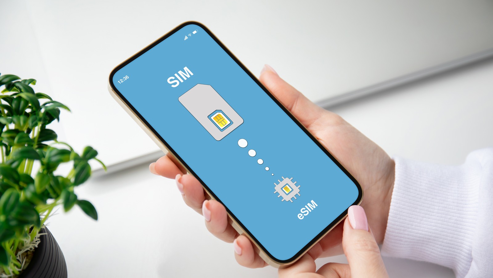 The 5 Best eSIM Deals To Check Out If You're Traveling To The USA