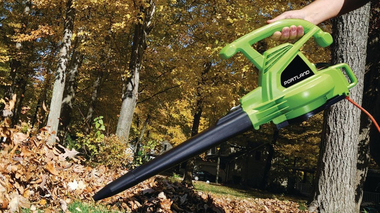 The 5 Harbor Freight Power Tools With The Most 5-Star Ratings