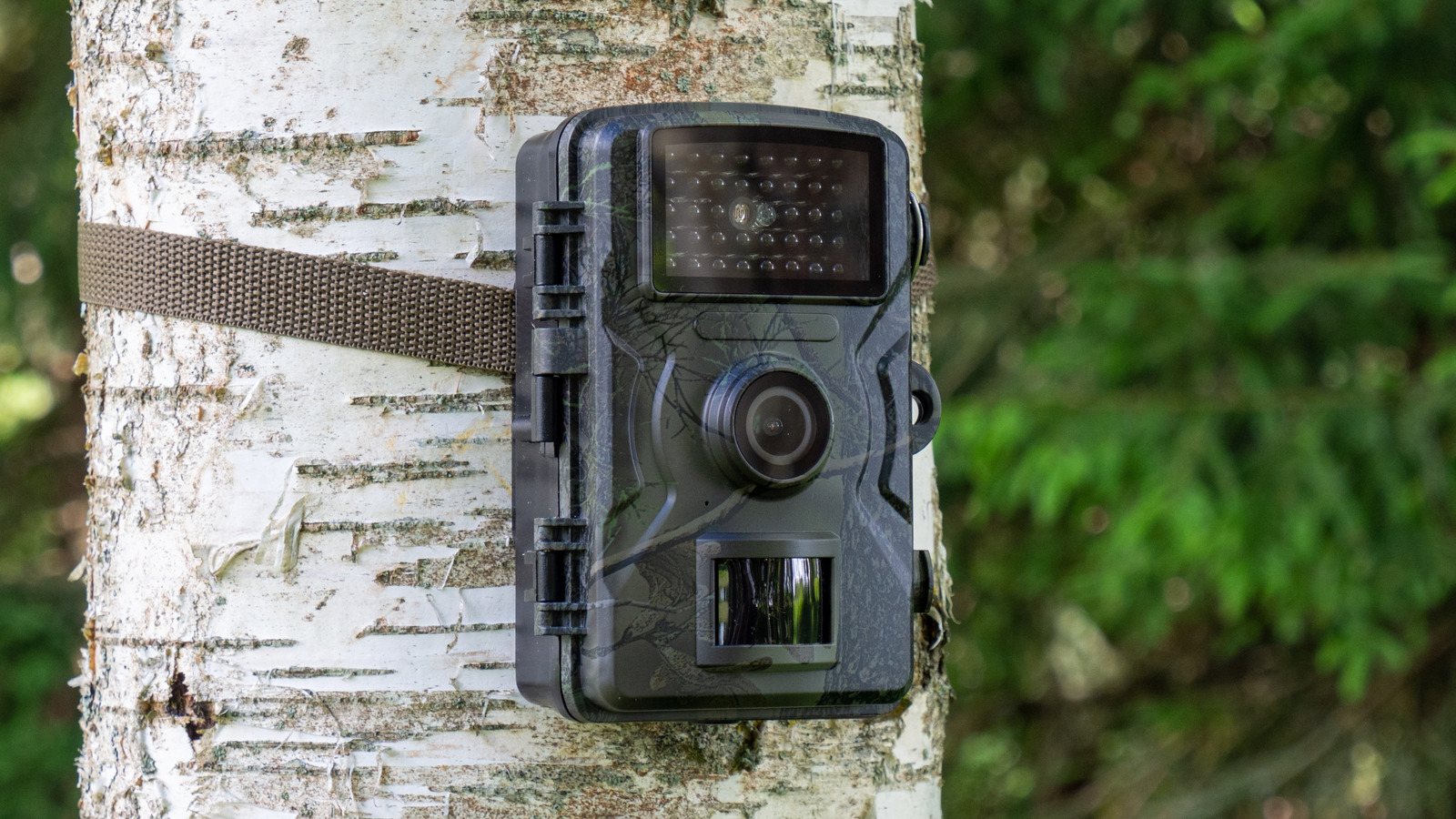 These States Have Banned Hunting Trail Cameras - Here's Why