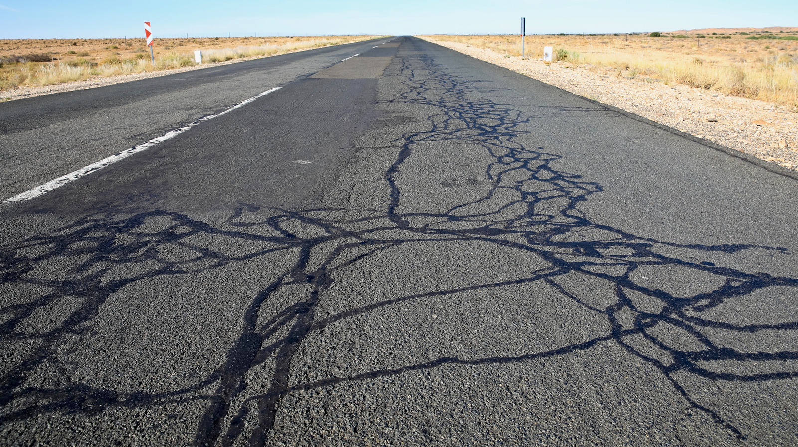The 'Squiggly Black Lines' On The Road Are Tar Snakes - What Do They Mean