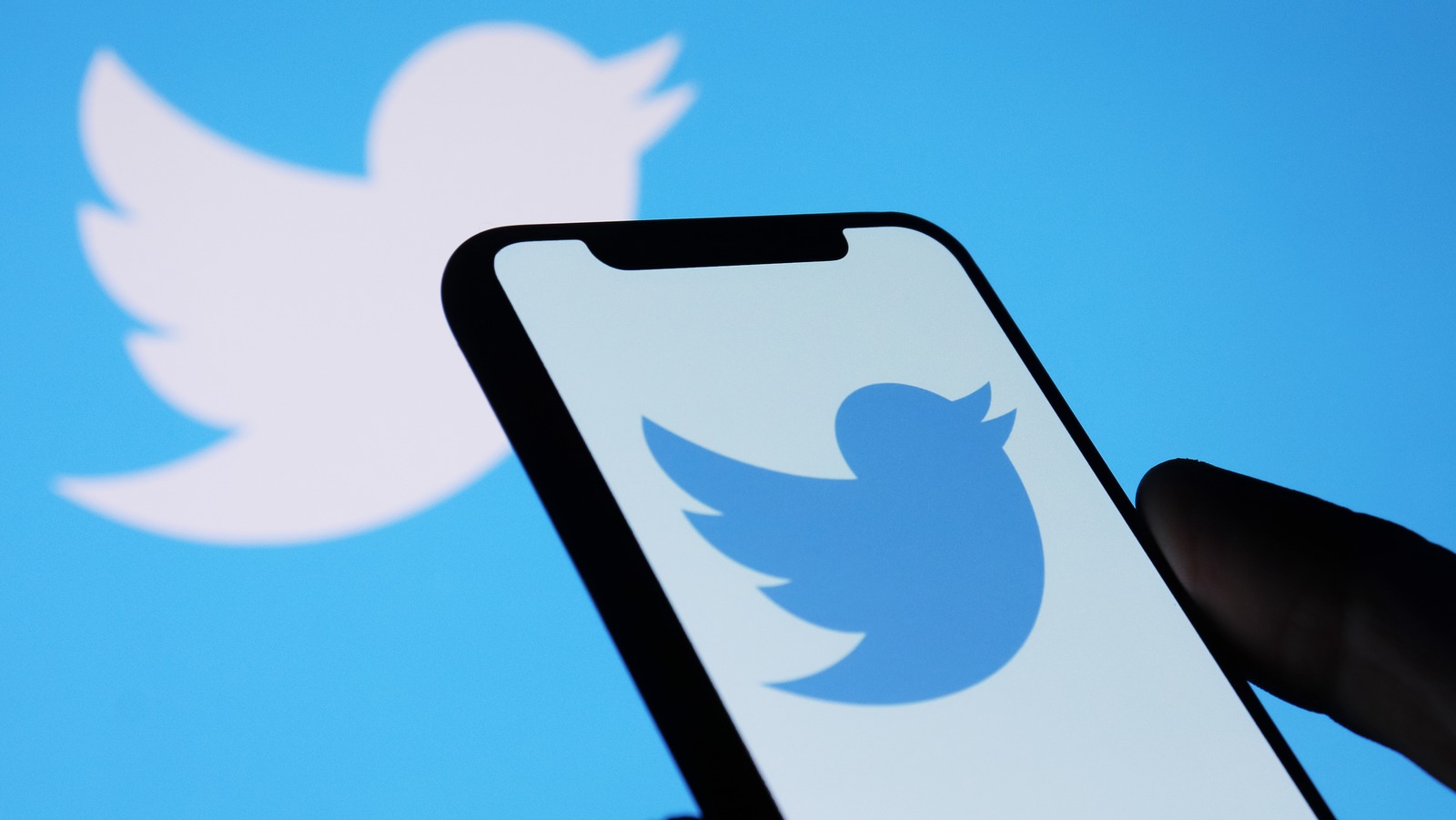 Twitter Finally Adds The Option To Publicly Hide Tweets