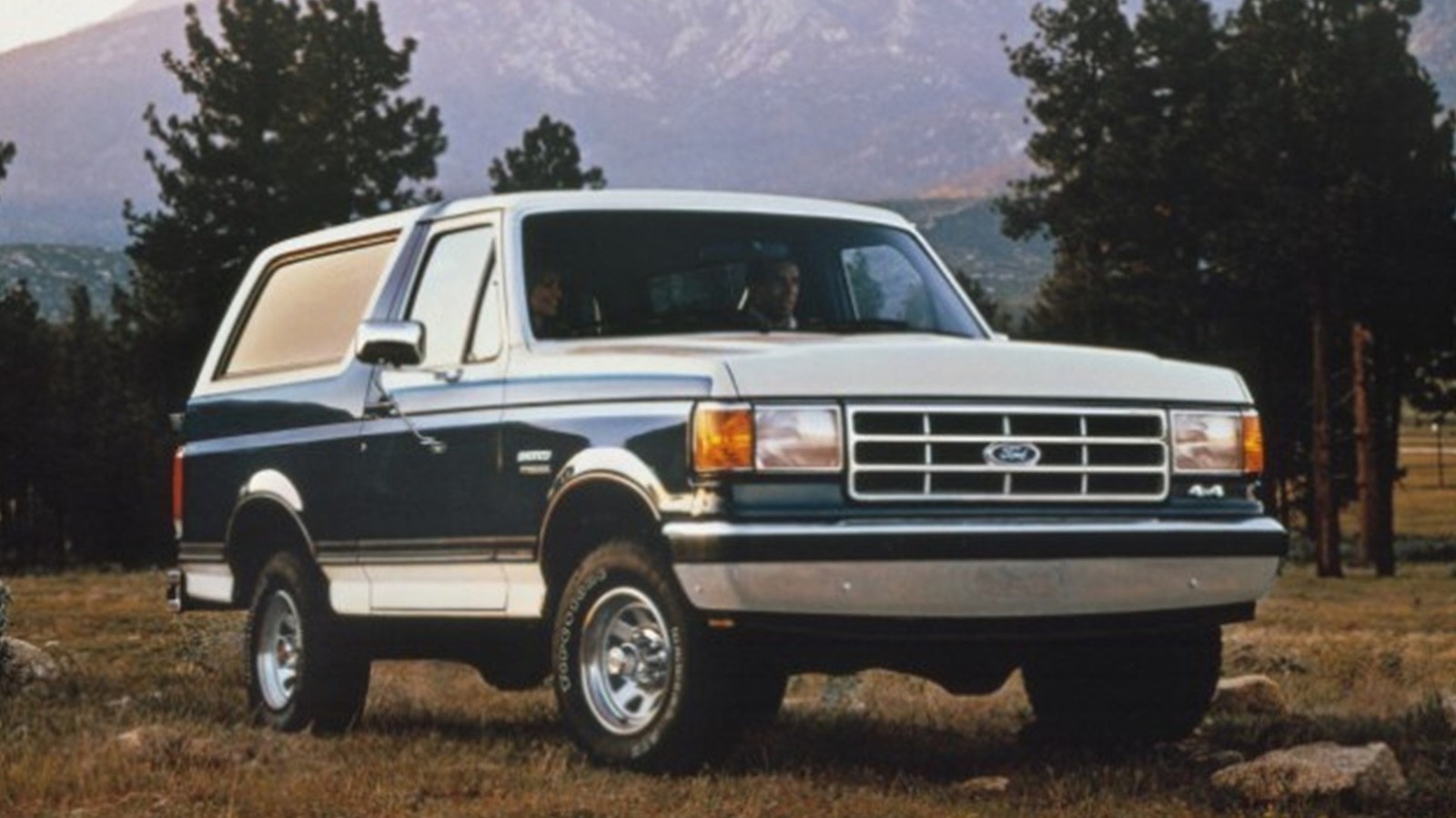 What Are Bricknose Ford Trucks And Which Years Were They Made?