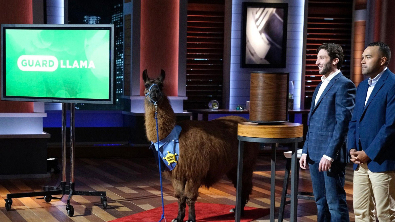 What Happened To Guard Llama From Shark Tank Season 8?