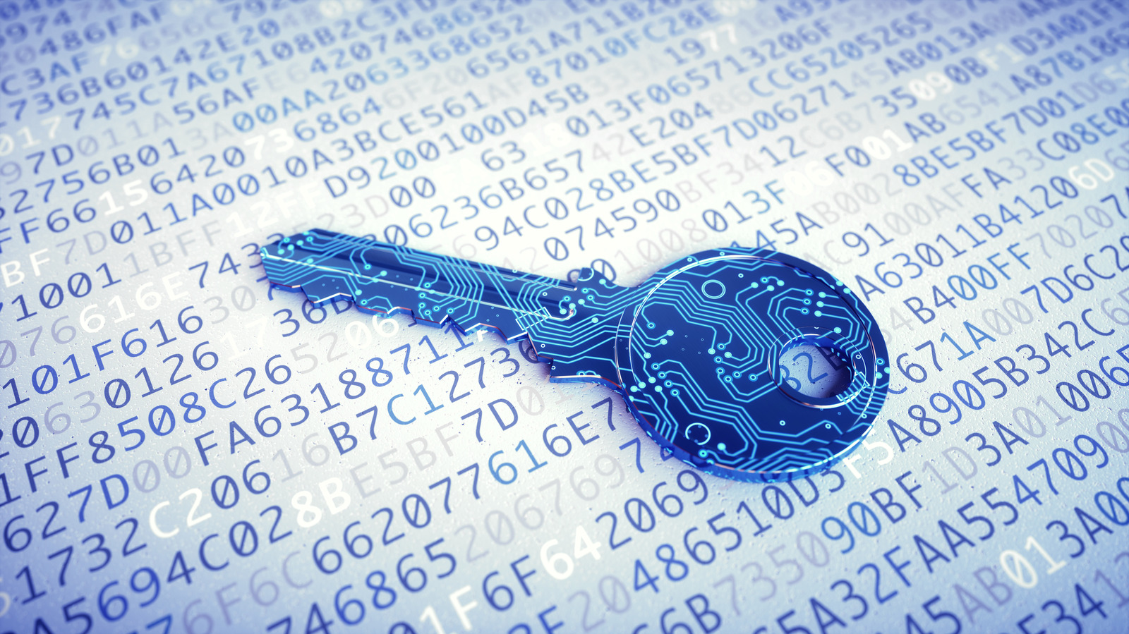 What Is A Network Security Key? And Why It's Important