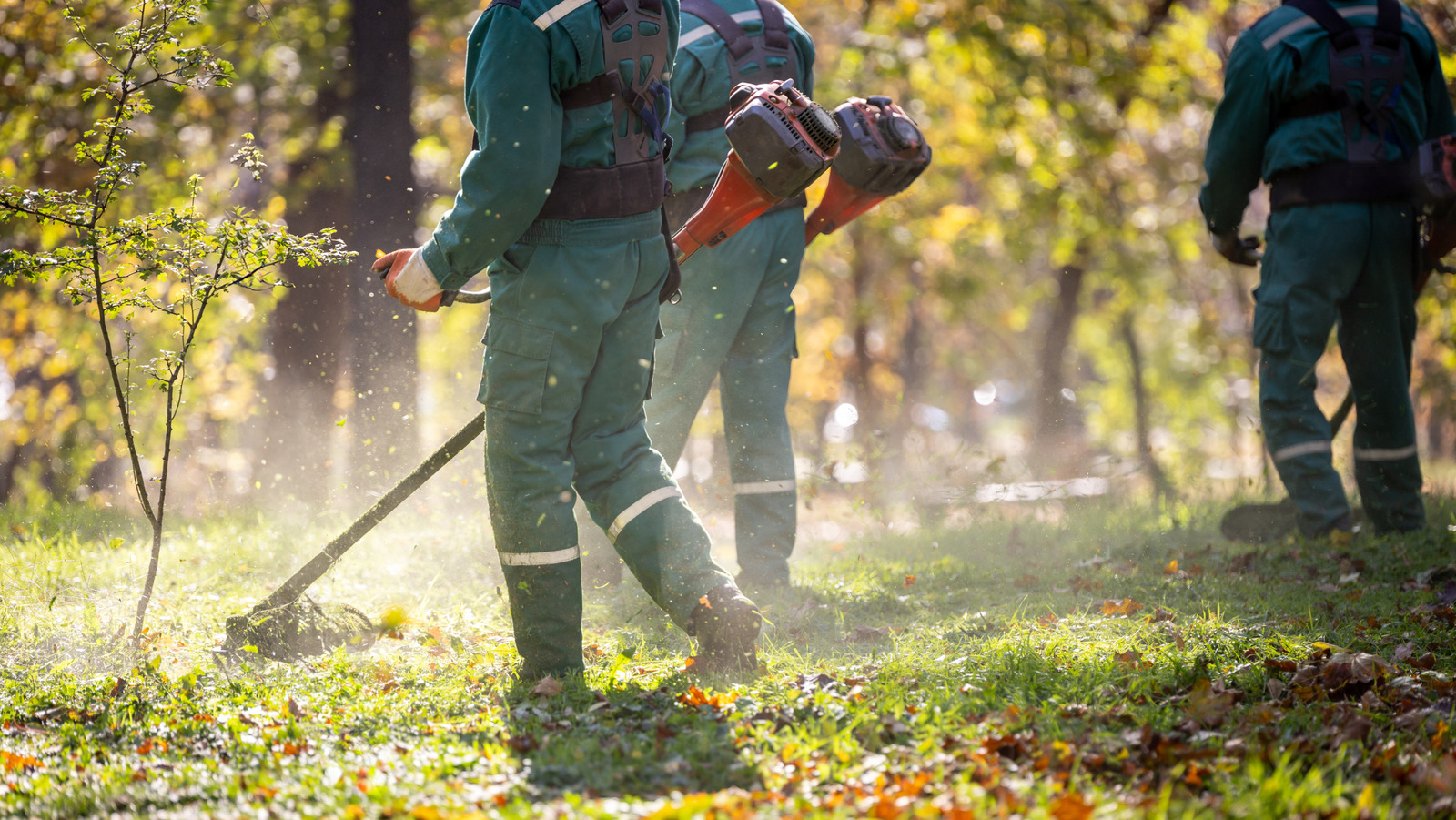 What Kind Of Oil Do Weed Eaters Need And How Often Should You Change It?
