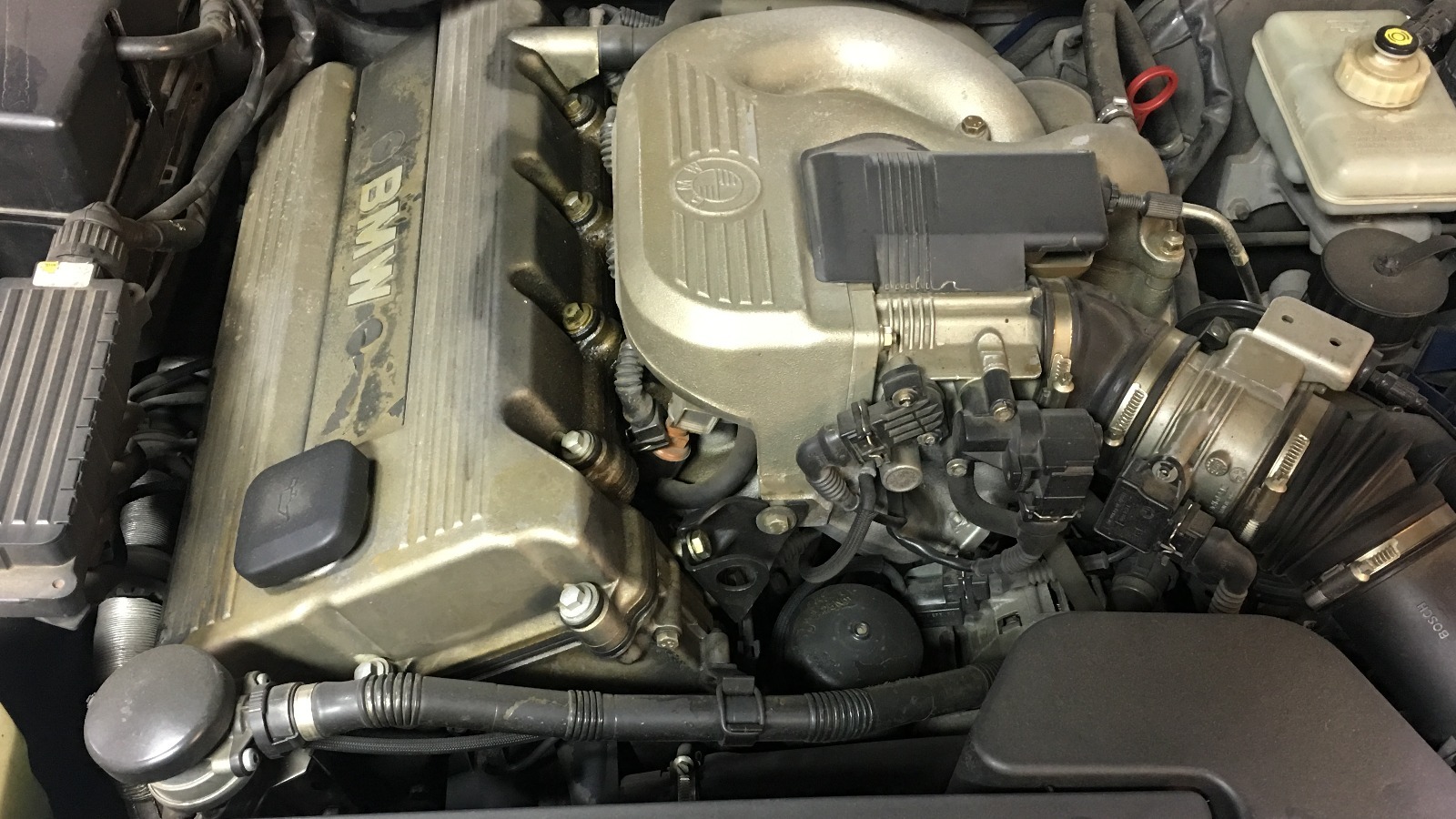 Which Cars Had A BMW M44 Engine Under The Hood?