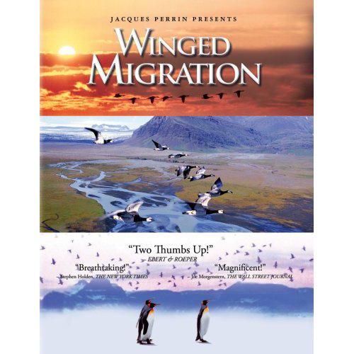 Sony firmed up Blu-ray release of Winged Migration - SlashGear