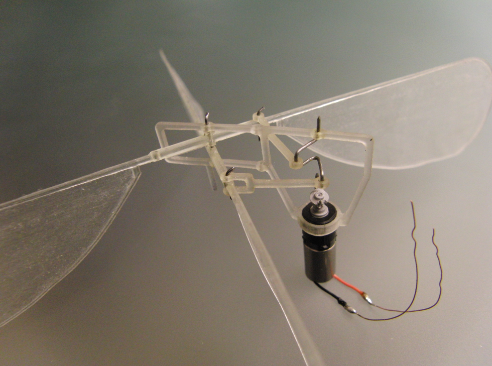 Ornithopter Replicates Insect Flight - SlashGear