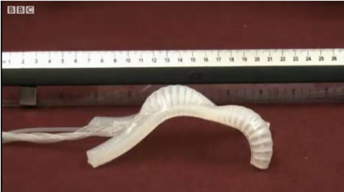 Soft robot is designed to move like a starfish - SlashGear