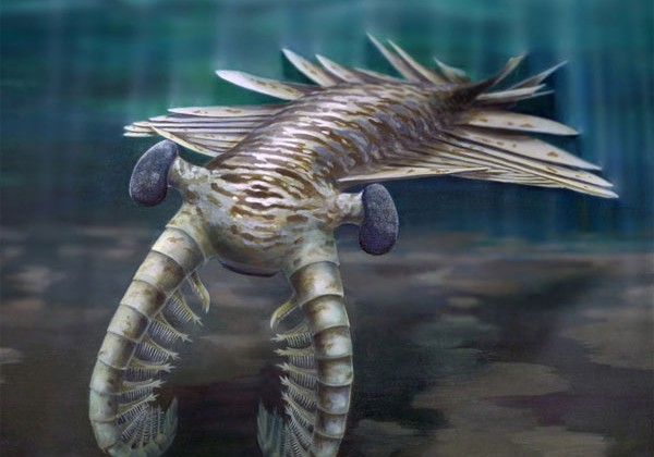 Ancient Anomalocarids had compound eyes with 16k lenses - SlashGear