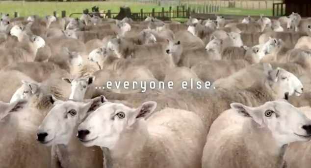 Samsung Galaxy S III teaser video calls you sheep - SlashGear