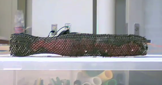 Earthworm robot developed at MIT for tiny science missions - SlashGear