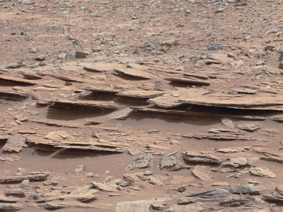 Earth microbes can survive on Mars, study finds - SlashGear