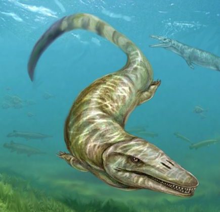 Ancient freshwater sea monster fossils discovered - SlashGear