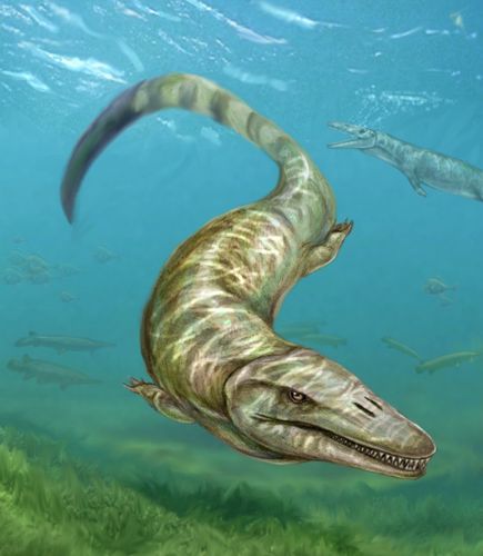 Ancient freshwater sea monster fossils discovered - SlashGear