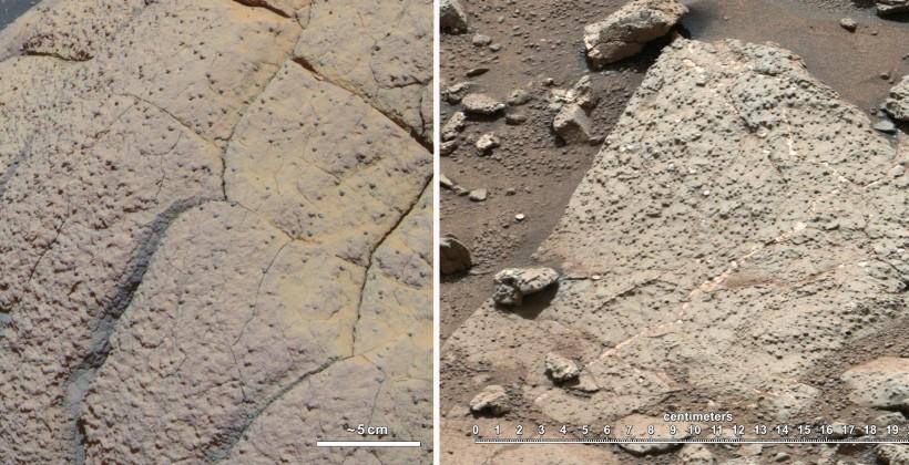 Mars Curiosity rover finds evidence of habitable life on Mars - SlashGear