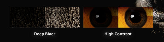 Samsung Curved OLED TV hits USA with split-screen Multi View technology ...